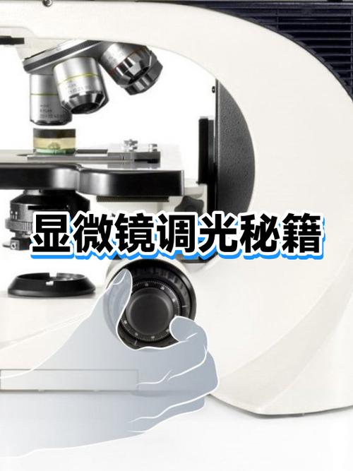亮度调到多少对眼睛好图标