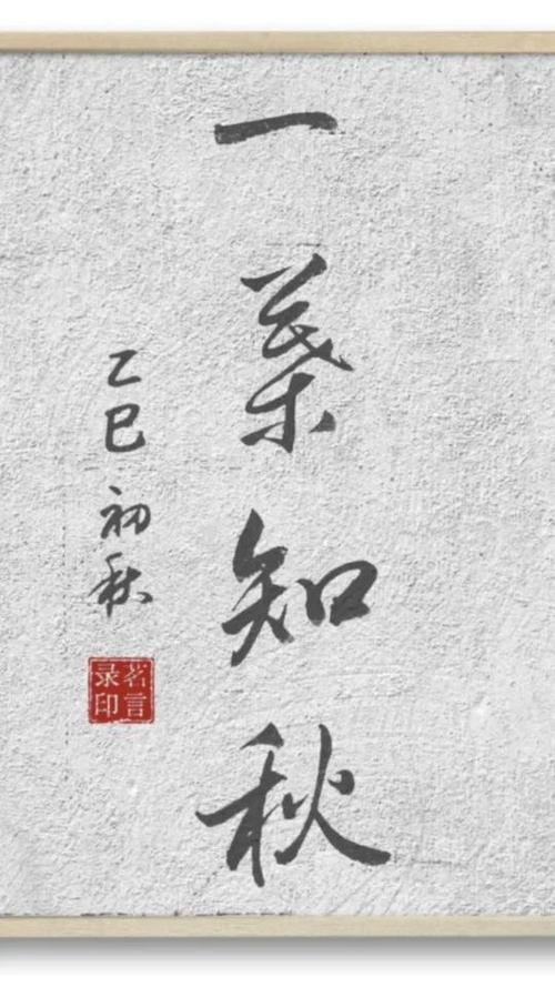 见微知著一叶知秋图标