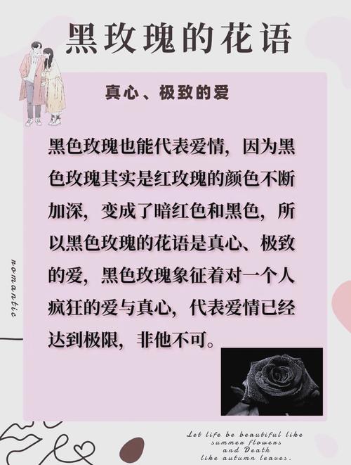 黑玫瑰代表的含义图标
