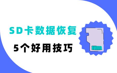 手机sdcard从哪找截图