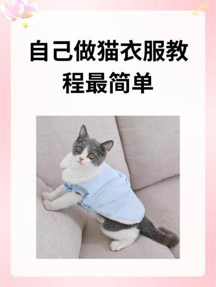 猫踩过的衣服用洗吗截图