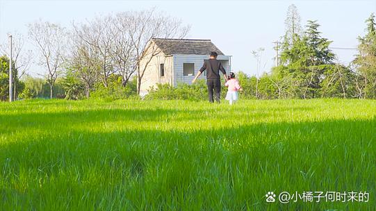 大脚图标不见了图标
