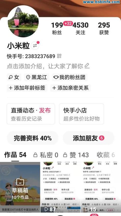 快手秒到100赞入口截图