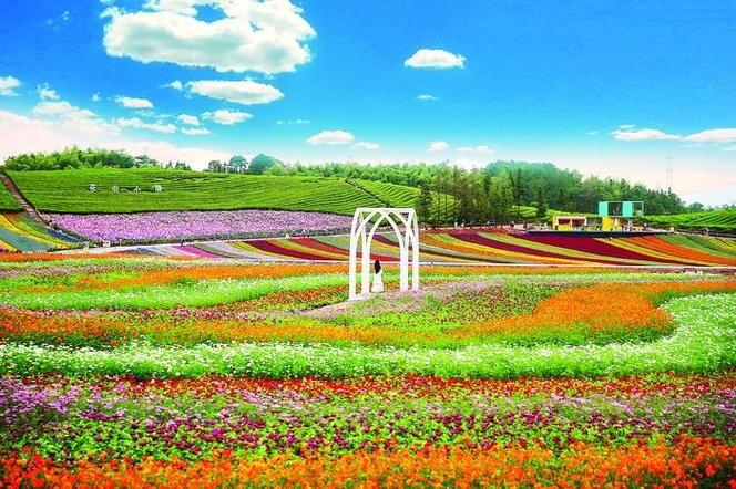 浙江花田小镇在哪图标
