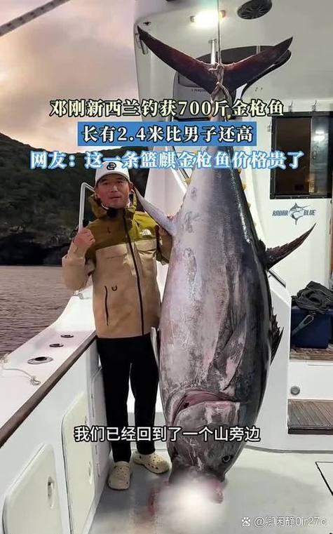 出海钓金枪鱼能赚钱吗截图