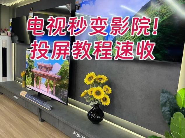 腾讯视频投屏可以改倍速吗图标