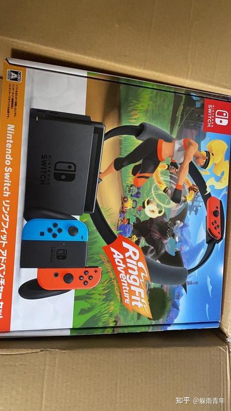 switch账号可以借给别人吗图标