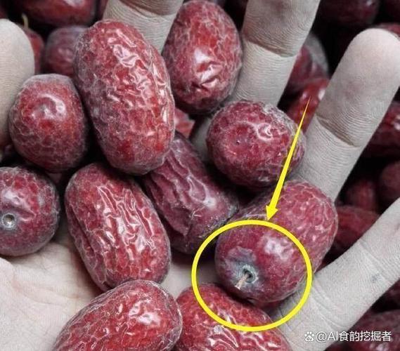 红枣干过期了但没开封图标