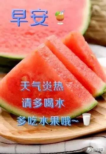 红包天气可以提现吗图标