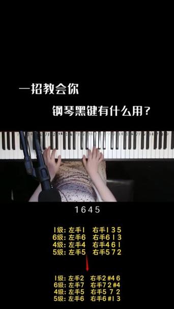 钢琴中黑色琴键代表什么缩略图