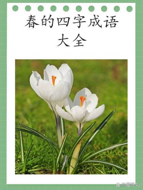 赞美春花的诗句图标