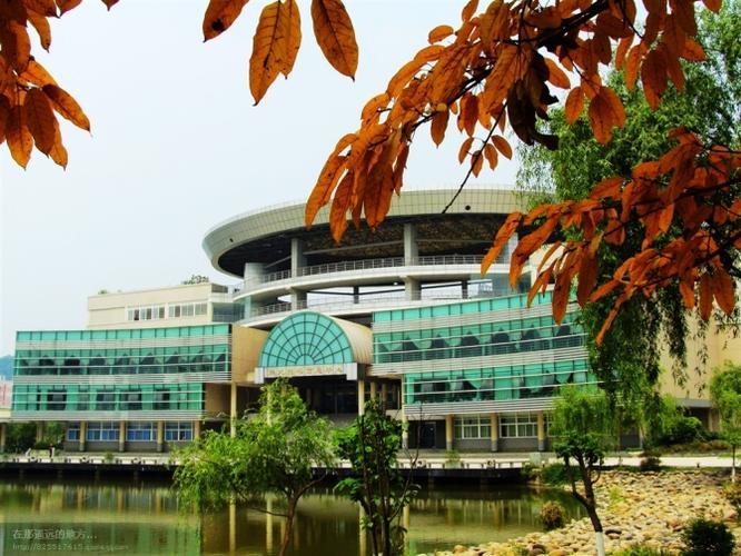 教务系统西南科技大学图标