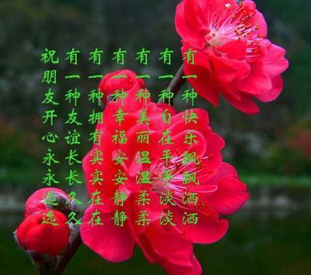 描写冬天温暖的诗句图标