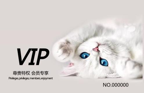 猫咪会员图标