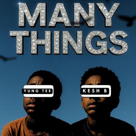 manythings的中文图标