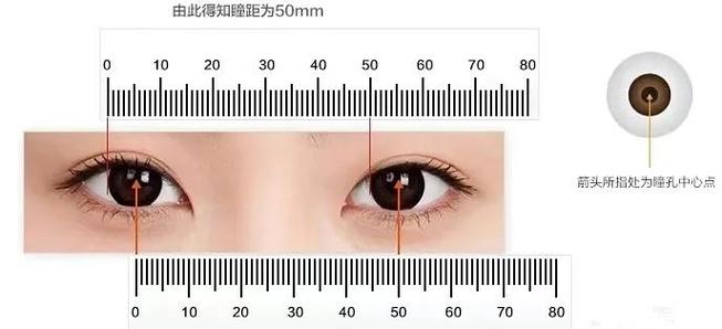 瞳距正常范围游戏截图