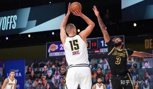 河豚体育nba在线直播图标