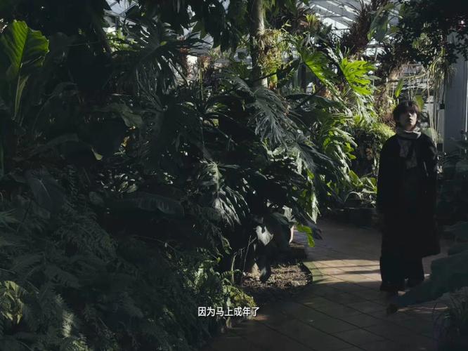 晴天全文免费阅读图标