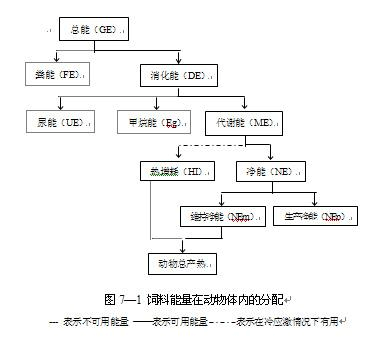动物能量的主要来源图标