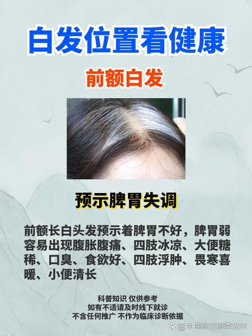 白发的形成原因截图