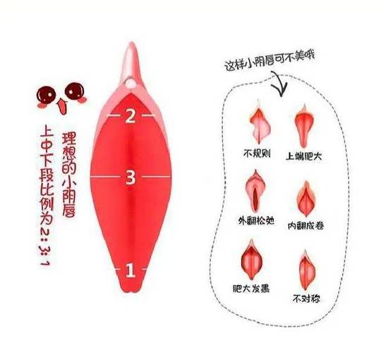 女性私密变黑是什么原因造成的截图