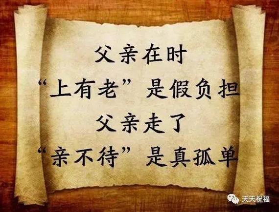 小说虎婿老虎的虎女婿的婿图标