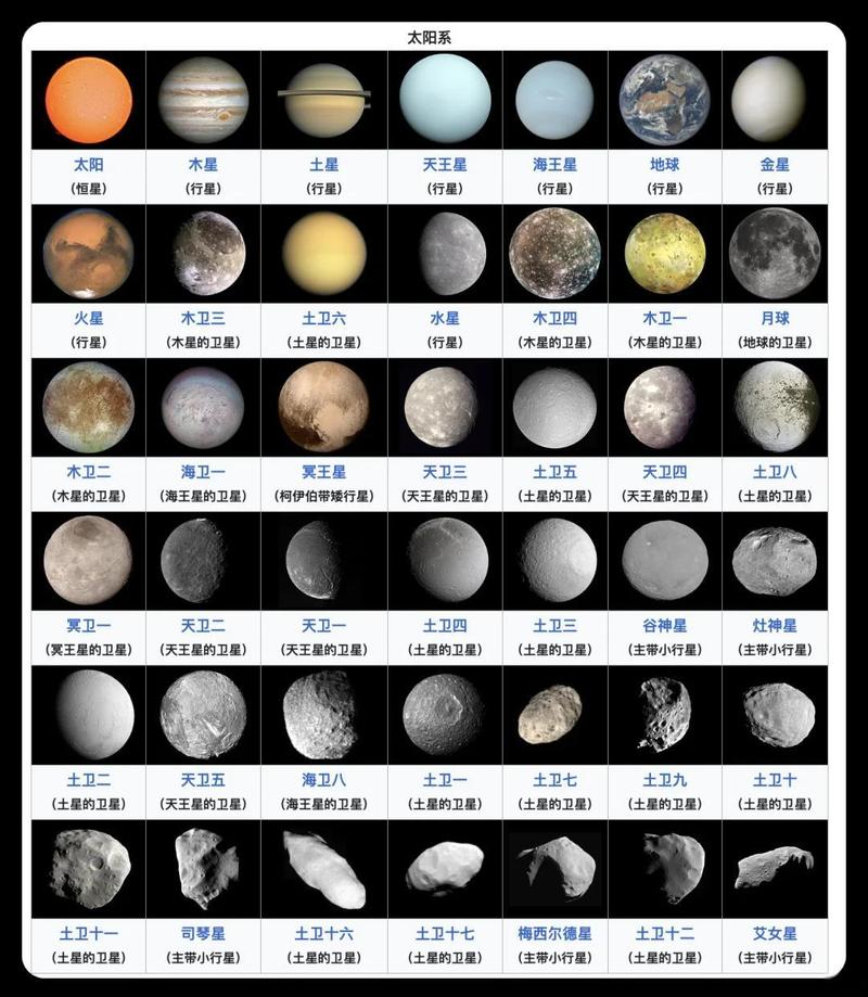 星浆体有几个