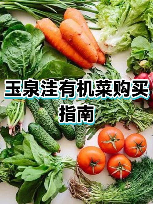 蔬菜电商平台哪个更好图标