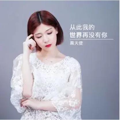 我的世界从此没有你歌曲很火的那个图标