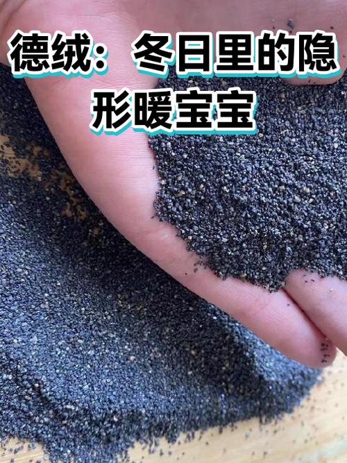 手机文件隐藏app图标