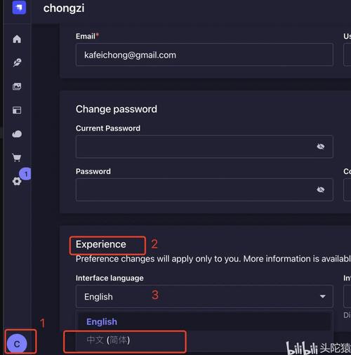 英文软件怎么改成中文版