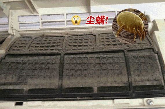 空调亮灯尘螨图标