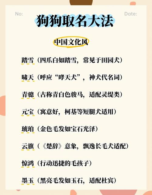 梨花狗起名字