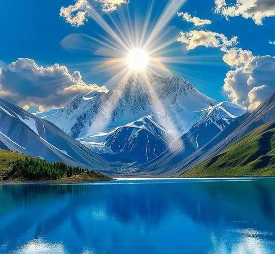 微信头像图片图标