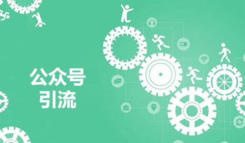 公众号吸粉最好的方法图标