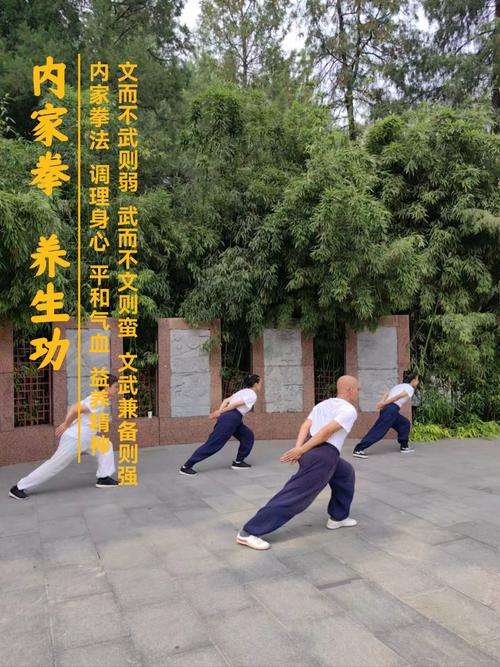 50多岁练什么拳最实用图标