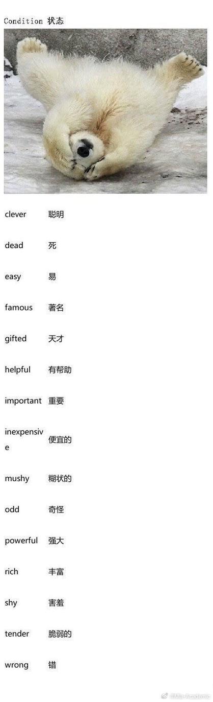 形容词图标