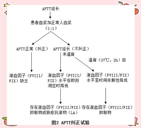 血友病A最新研究进展国内