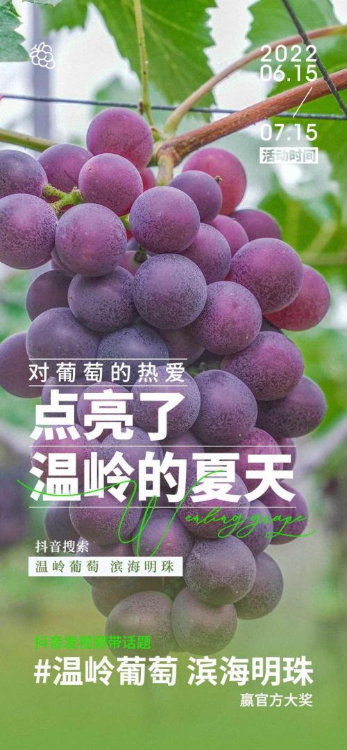 葡萄短视频的介绍截图