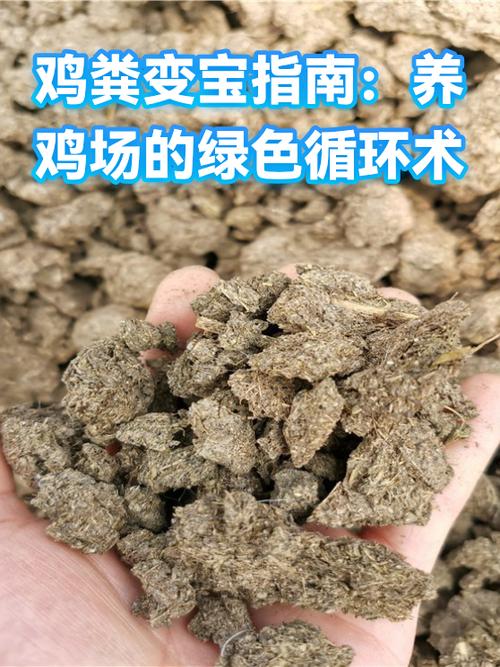 湖北有哪些养鸡场图标