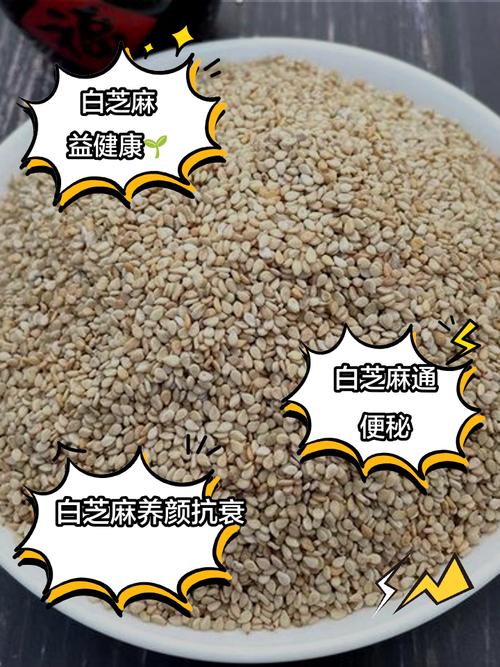 白芝麻在玄学里代表什么