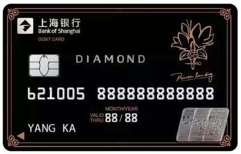 上海银行储蓄卡是什么卡图标