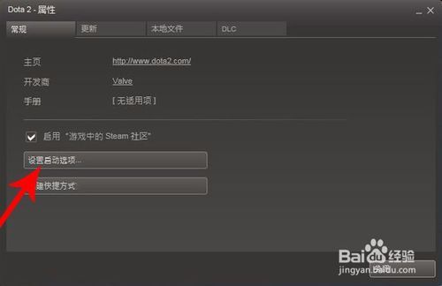dota2设置perfectworld启动图标