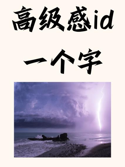野王高级感ID图标