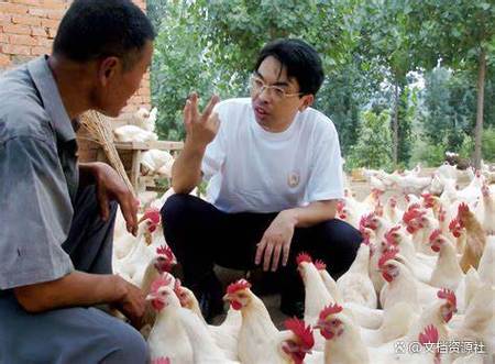 未来三年养什么最挣钱图标