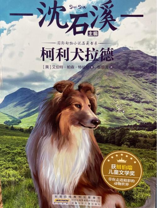 狗狗小说图标