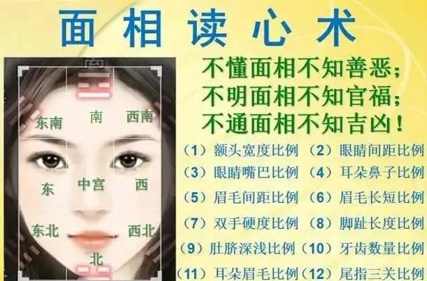 如何识人图标