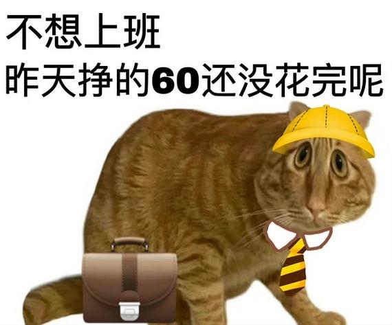 猫猫赚靠谱吗截图