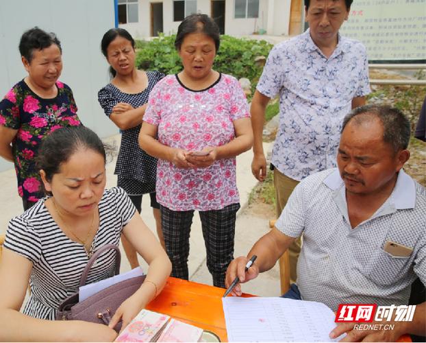 养鸡分红图标