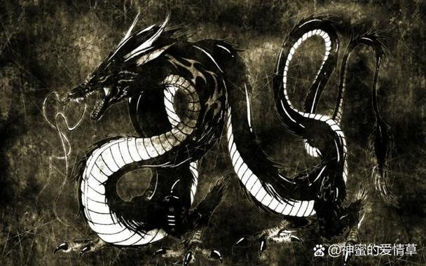 重生为一条黑蛇进化黑龙截图